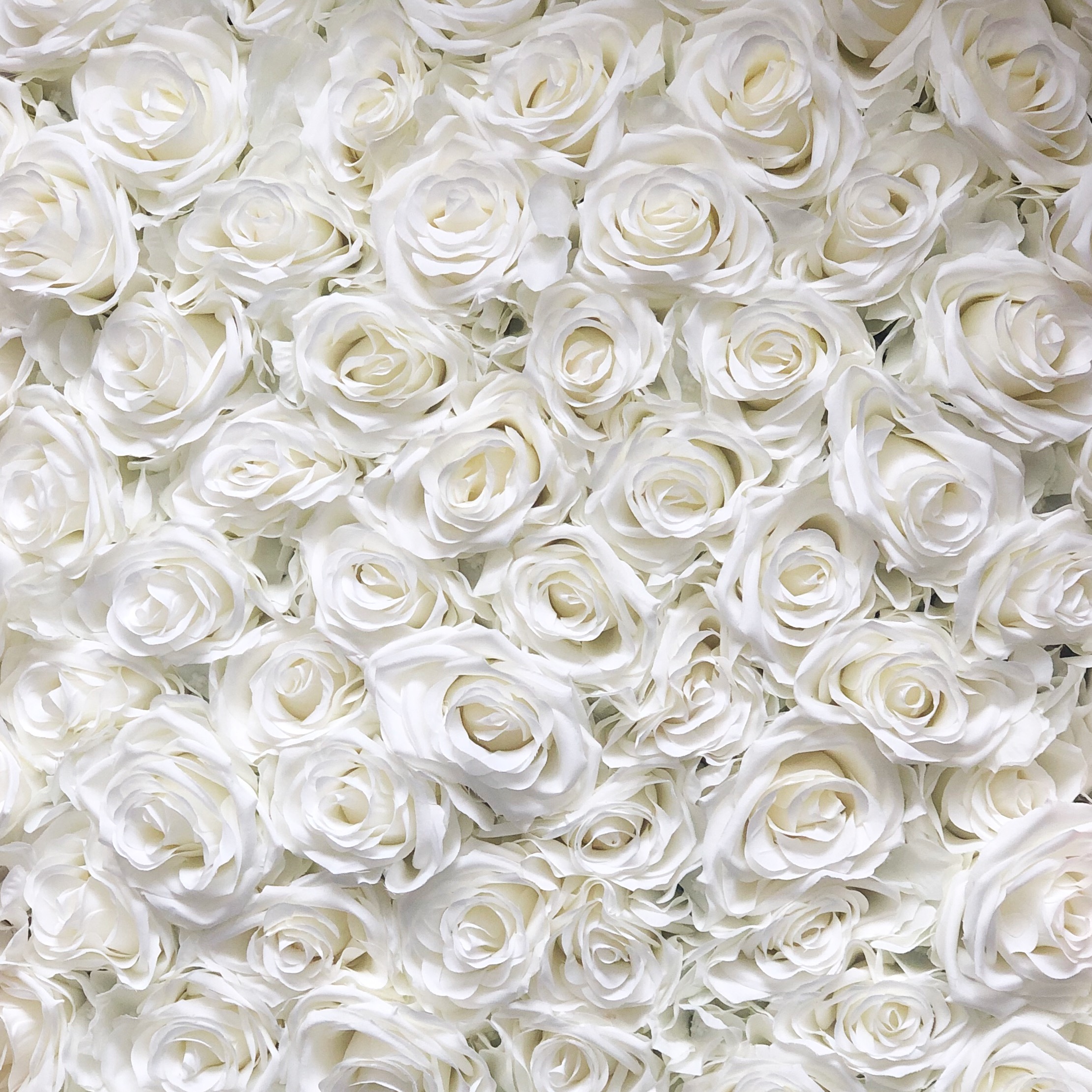 San Diego Flower Walls | Flower Walls, Balloons, and Party Rentals